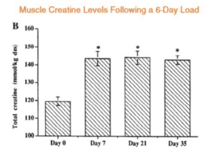 How To Take Creatine - Your Complete Guide | Supplement Critique