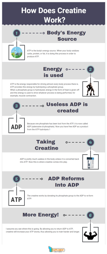 How To Take Creatine - Your Complete Guide | Supplement Critique