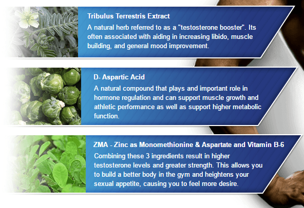 Max Muscle Xtreme and Max Test Ultra Review | Supplement Critique