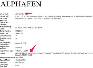 Alpha King Review: 3 BIG Reasons It's Worth It (UPDATED 2022)